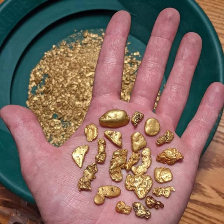 From California to Keelung: The Timeless Quest for Gold Across Centuries